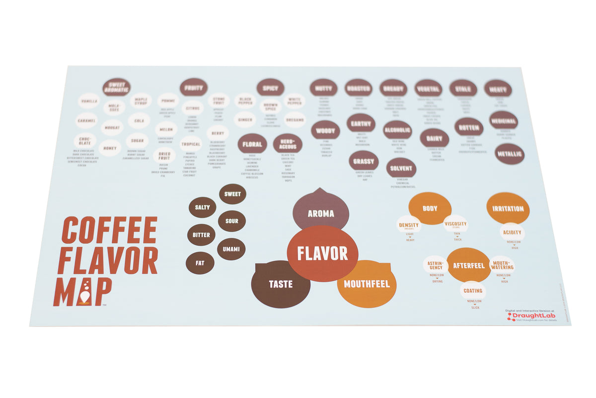 Coffee Flavor Map – DraughtLab Store