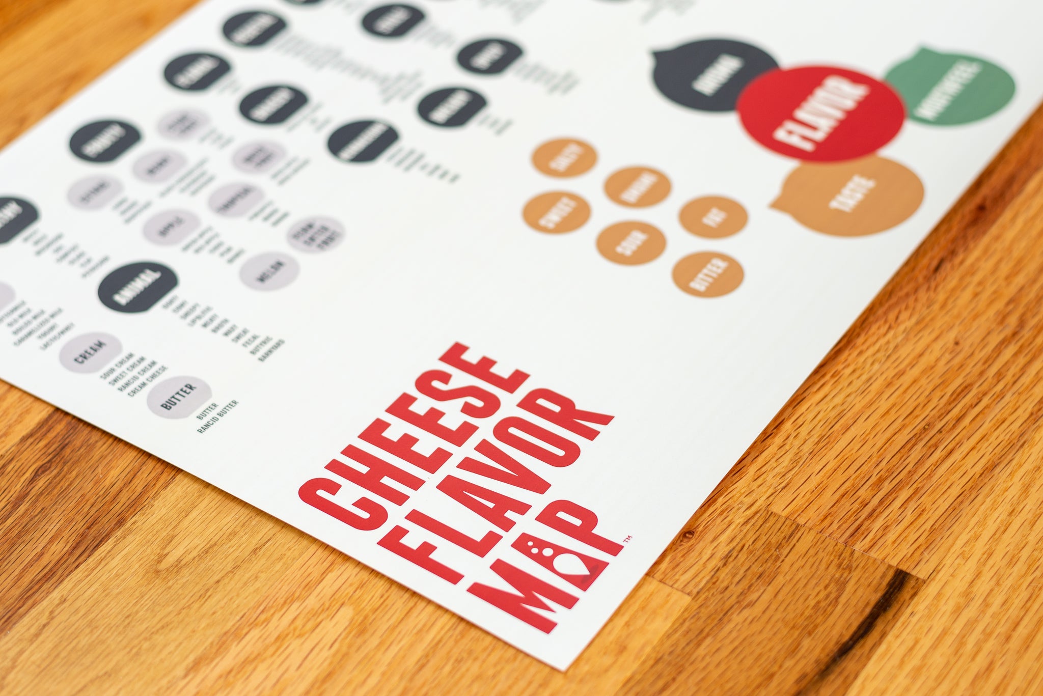 Cheese Flavor Map – DraughtLab Store